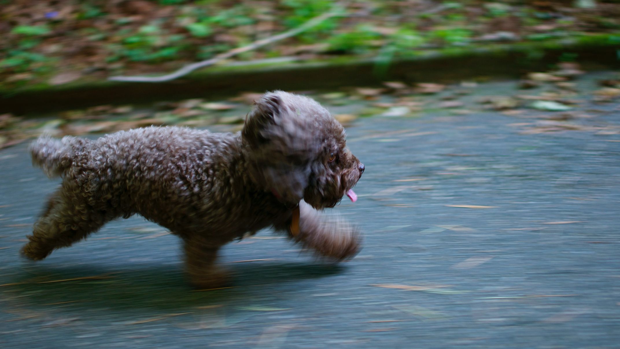 Welcome to Wowchemy, the website builder for Hugo | Manling Li